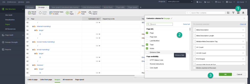 Website Auditor Review - Software That Automates SEO Audit!