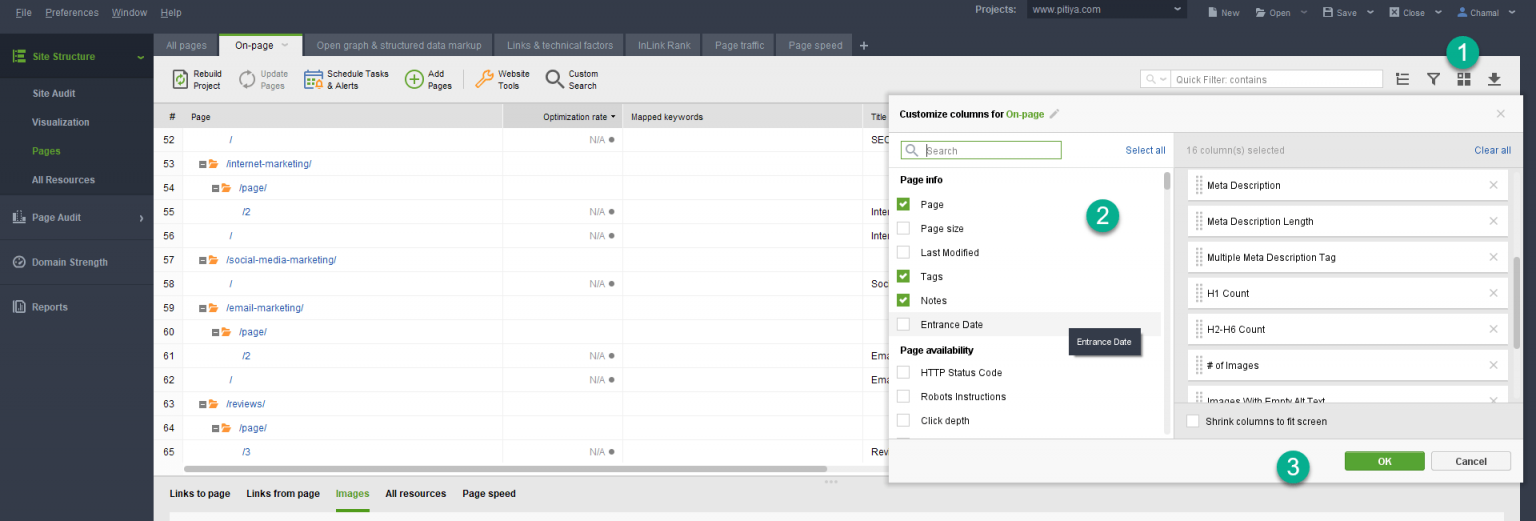 Website Auditor Review - Software That Automates SEO Audit!