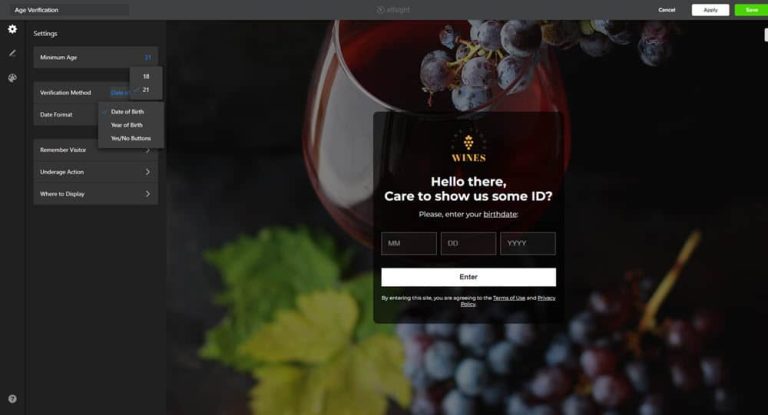 5 Best Responsive Age Verification Widgets for Websites in 2024
